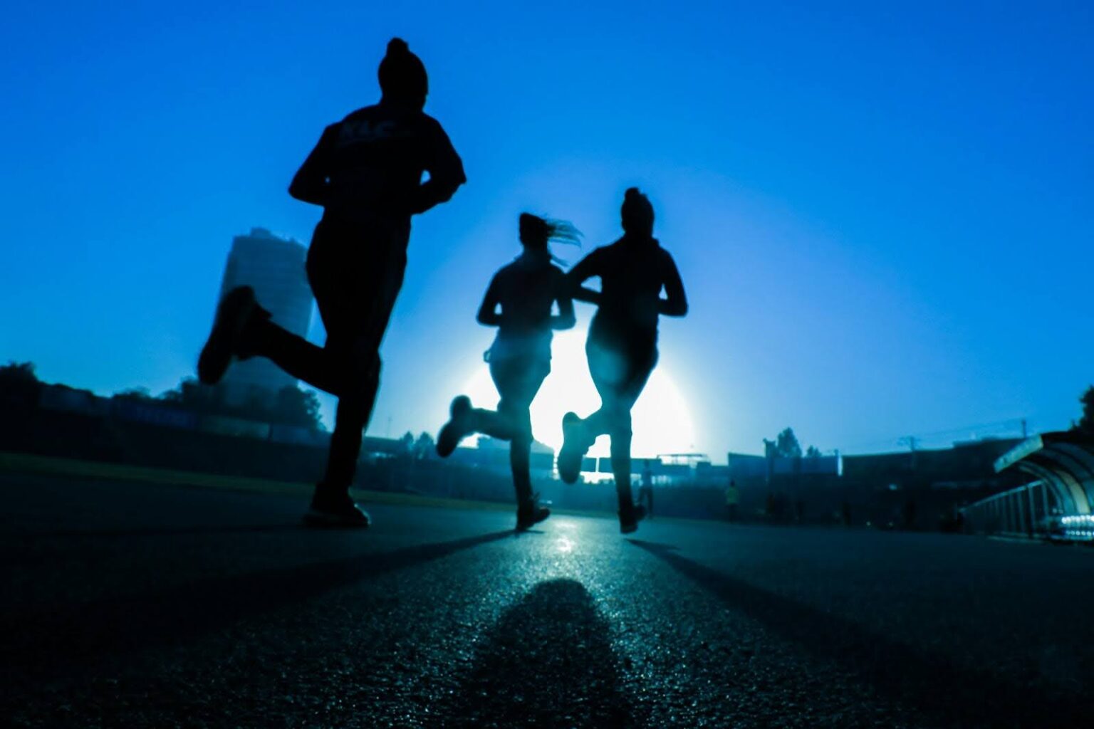 TrimRX | Top 5 Best Weight Loss Programs for Women in 2026